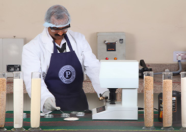 Information - P Mark a Trusted Brand with Best Quality Wheat and Rice ...
